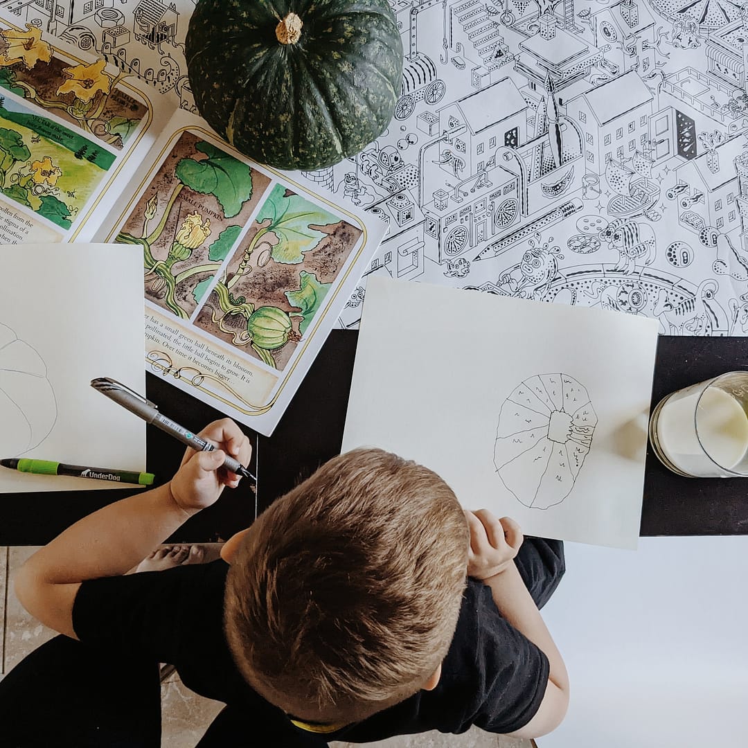 Observational Drawing Ideas